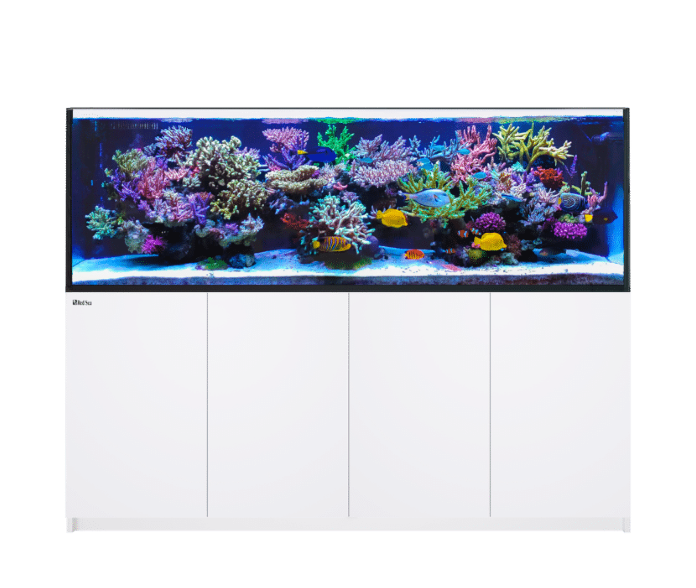 Red Sea Reef Aquariums - Compare & select for the perfect reef system.
