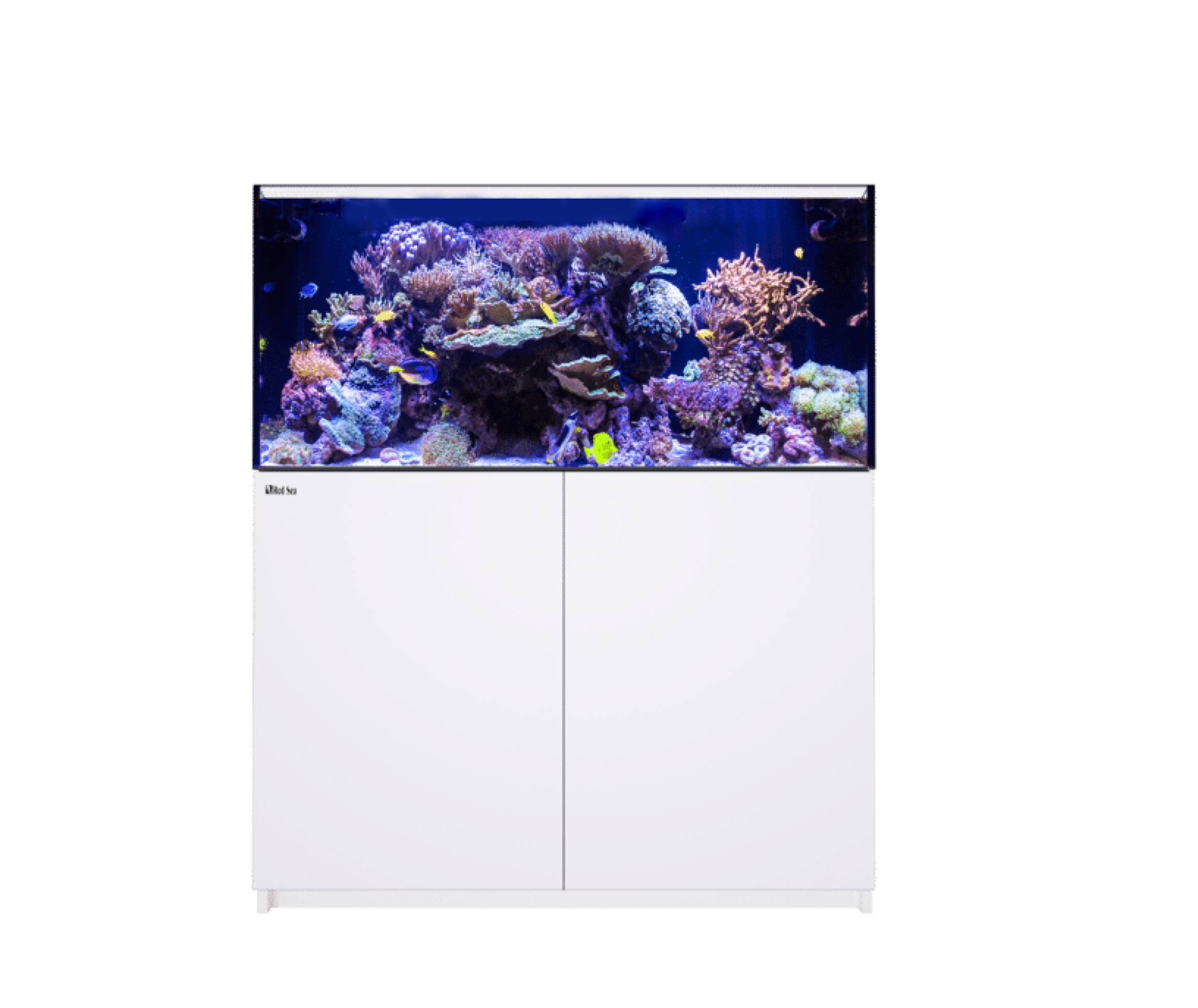 Red Sea Reef Aquariums - Compare & select for the perfect reef system.