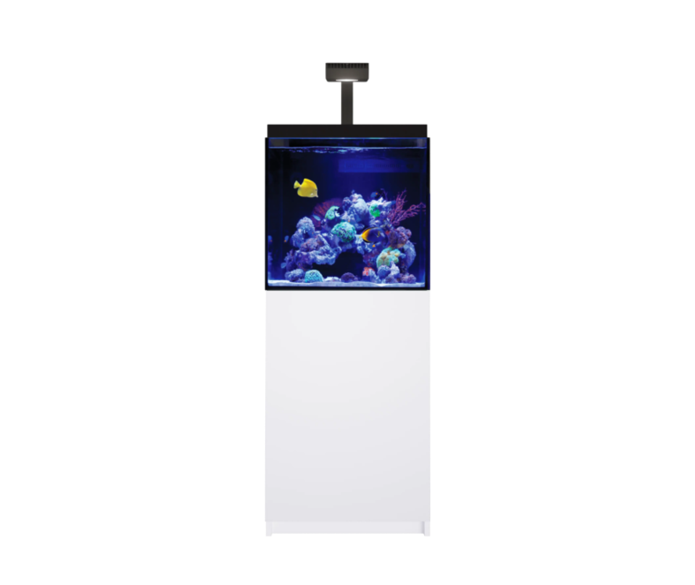 Red Sea Reef Aquariums - Compare & select for the perfect reef system.