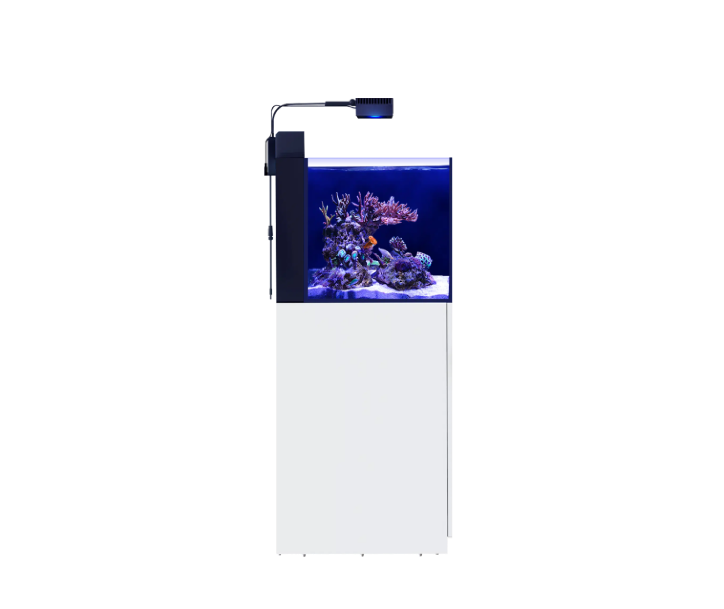 Red Sea Reef Aquariums - Compare & select for the perfect reef system.