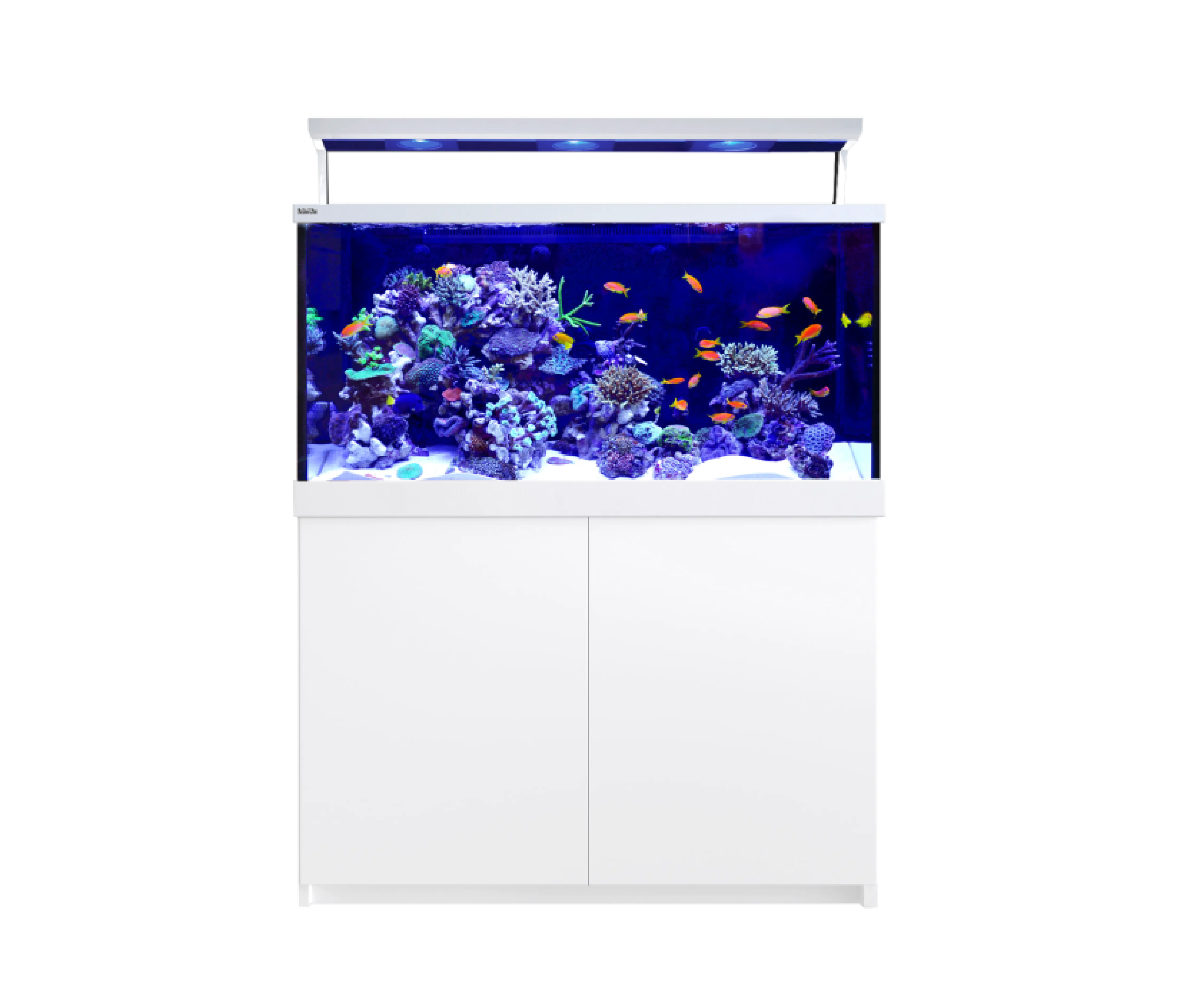 Red Sea Reef Aquariums - Compare & select for the perfect reef system.