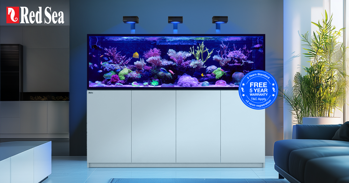 reefer-s - Supersized premium reef-ready systems